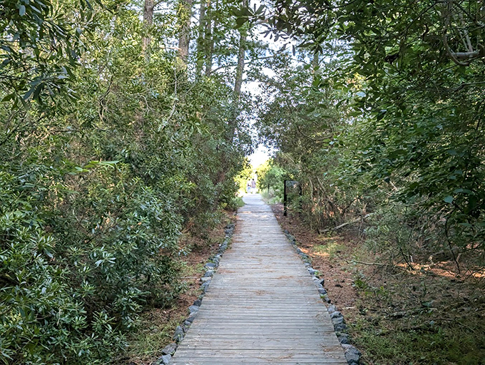 This sun-drenched corridor through dense greenery feels like nature's version of the yellow brick road&mdash;Chesapeake Bay awaits at the end.