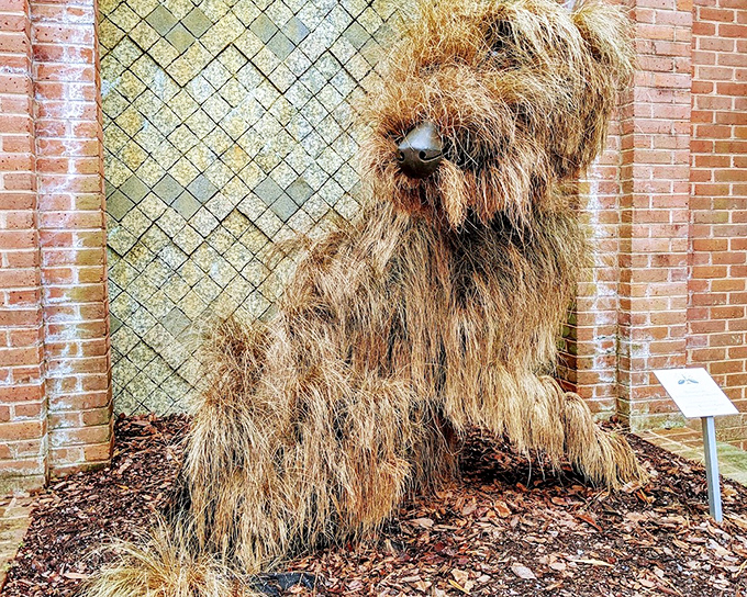 Who let the dogs out? This shaggy botanical pooch proves you can indeed teach new tricks to old plants.