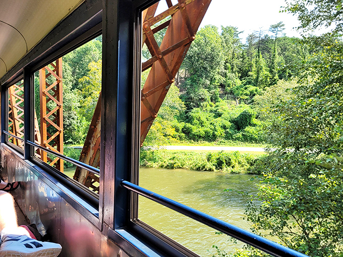 The train hugs the Toccoa River so closely you could almost dip your toes in&mdash;nature's perfect companion for this leisurely journey.