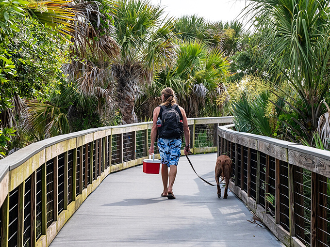 Smyrna Dunes Park's elevated boardwalk invites exploration with your four-legged friend&mdash;proof that the best nature walks include both panting and conversation.