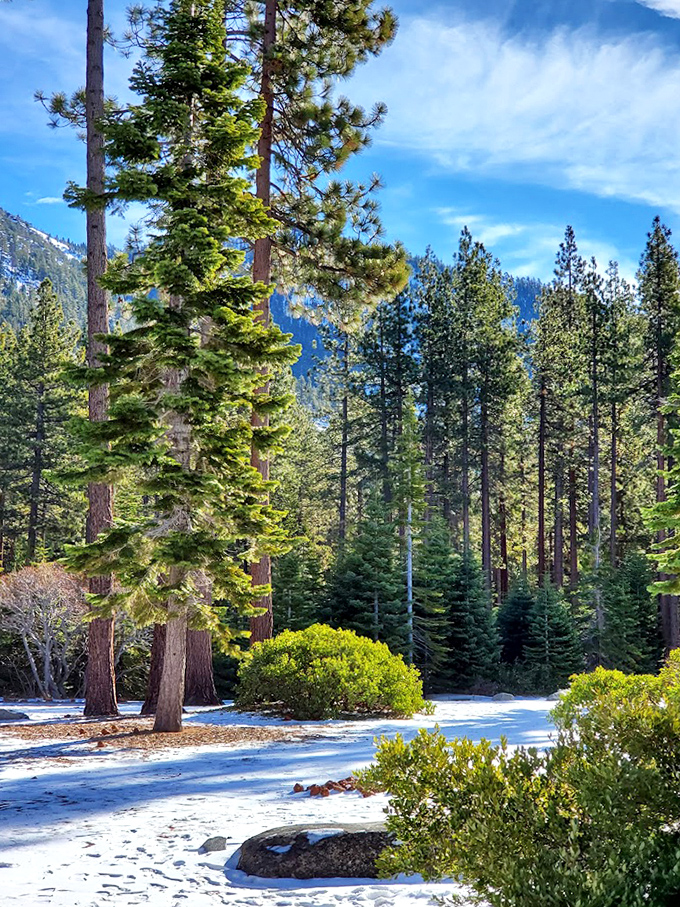 Winter transforms Sand Harbor into a snow globe you can actually walk through. Narnia's got nothing on Nevada.