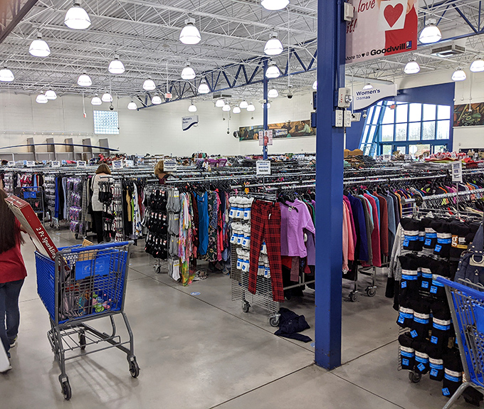 Wide aisles and bright lighting transform the thrifting experience from scavenger hunt to pleasure cruise. Even the shopping carts look happy to be here!