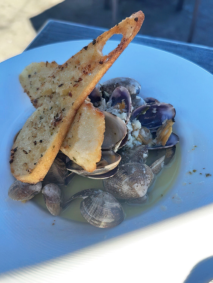 Steamed clams swimming in white wine broth with garlic bread standing by&mdash;nature's perfect dipping situation has been achieved.