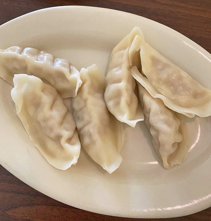 Delicate steamed dumplings folded with care, each one a little package of savory goodness waiting to be dipped and devoured immediately.