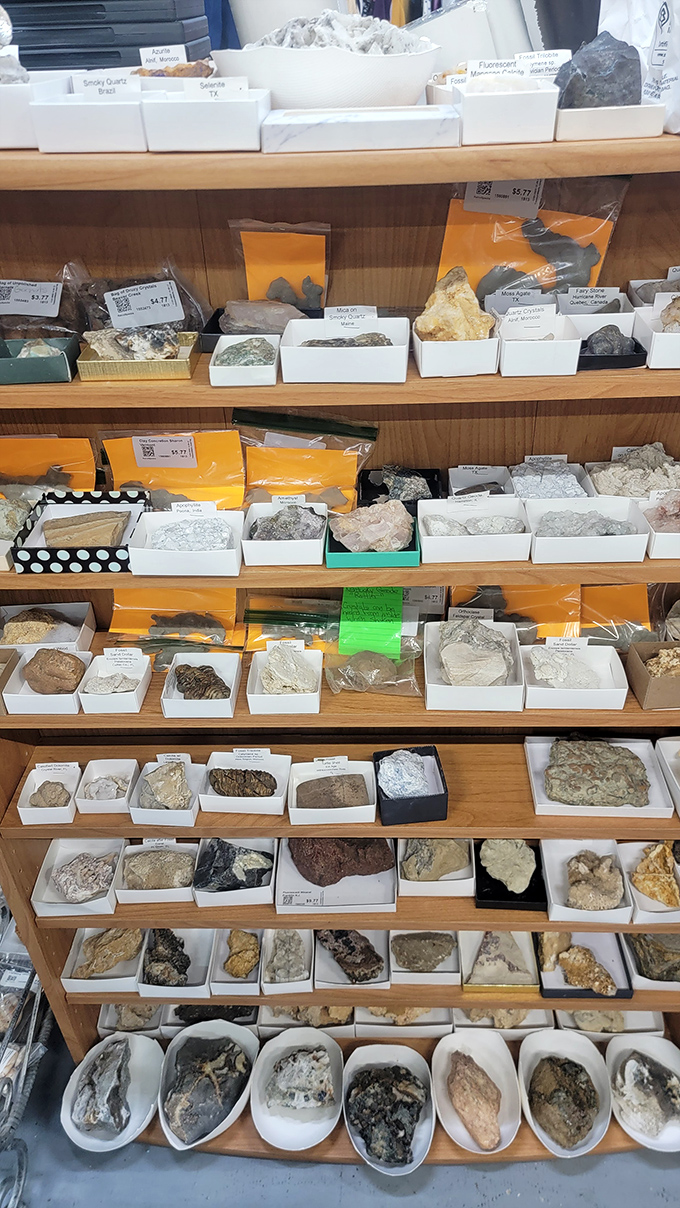 A geological wonderland where even the most ordinary rocks get their moment to shine, literally and figuratively.