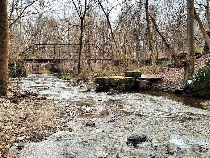 This babbling brook doesn't need Wi-Fi to stream perfectly. Nature's soundtrack plays 24/7 with no subscription required.