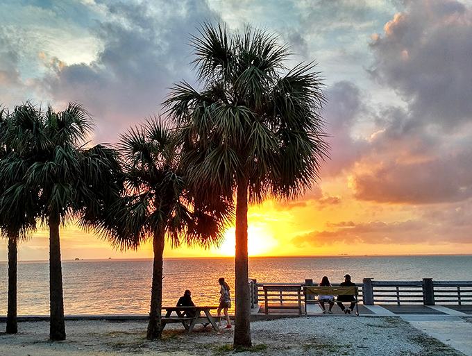 Florida sunsets don't just happen&mdash;they perform. This nightly spectacle of orange and pink transforms ordinary palm trees into nature's perfect silhouettes.