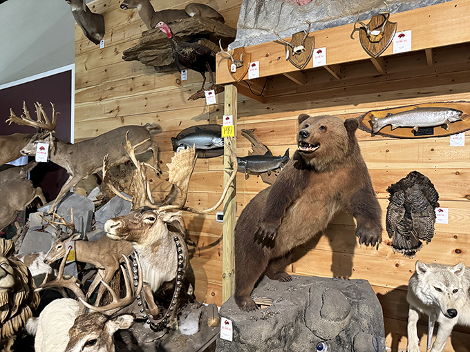 The taxidermy section &ndash; where Pennsylvania's wildlife gets a second chance at stardom and city folks get their first taste of authentic country decor.