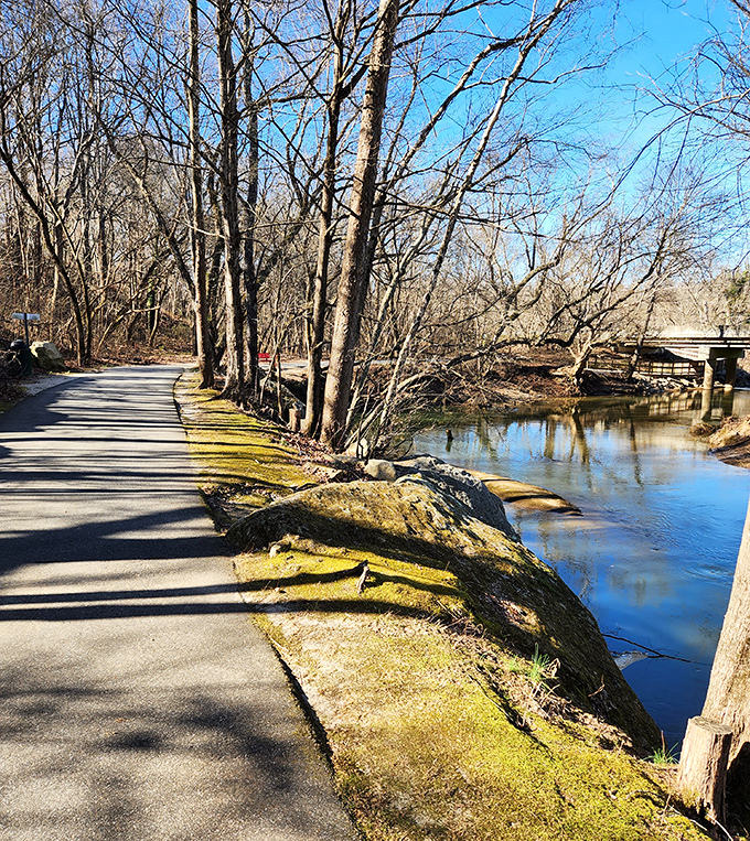 Nature's therapy comes free of charge along Mount Airy's riverside paths. This tranquil trail offers million-dollar views without the million-dollar price tag.