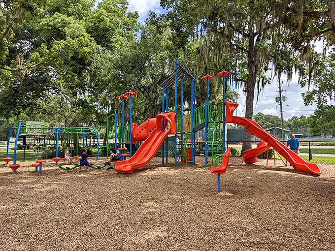 Childhood joy doesn't expire with age! This vibrant playground welcomes grandkids and the young-at-heart under the watchful gaze of Spanish moss.