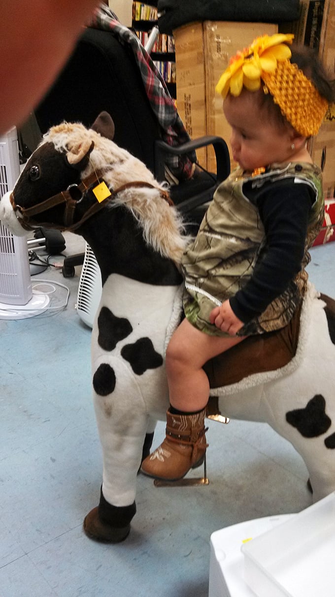 Every kid dreams of their own noble steed, and this spotted pony is patiently waiting for its next cowpoke.