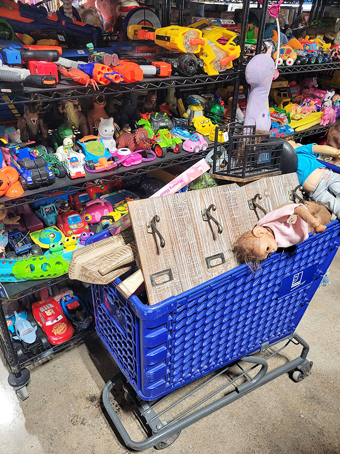 Toy nirvana! Where plastic dinosaurs and forgotten action figures find second chances. Every kid's dream and every parent's storage nightmare.