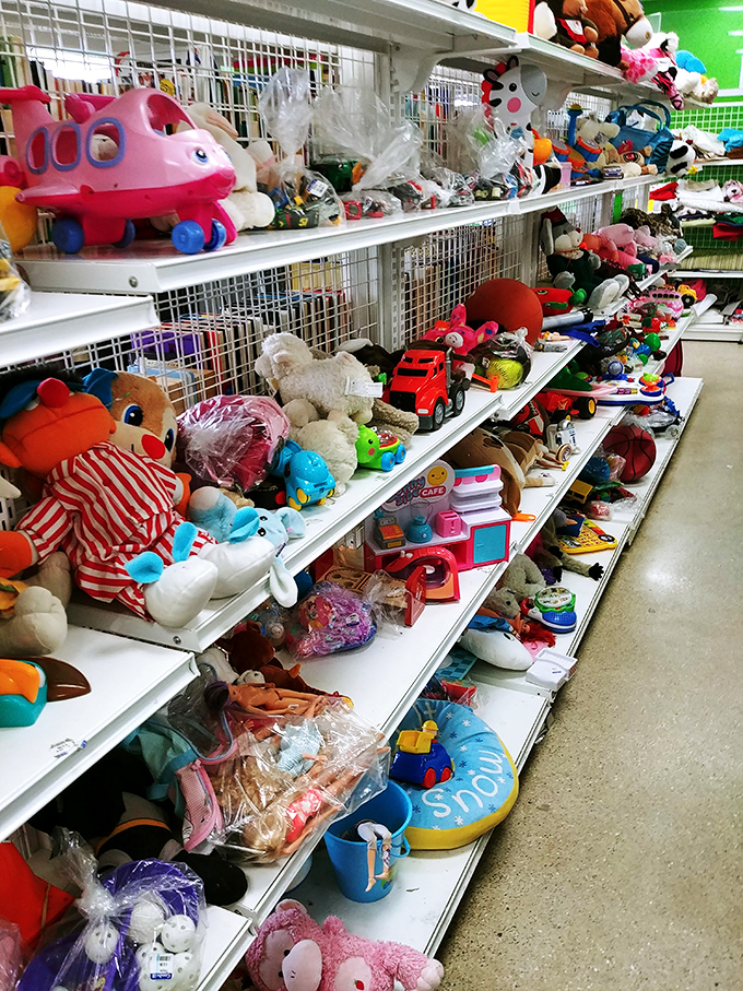 Childhood nostalgia by the shelf-full. These gently-loved stuffed animals and toys are just waiting for their next adventure with a new best friend.
