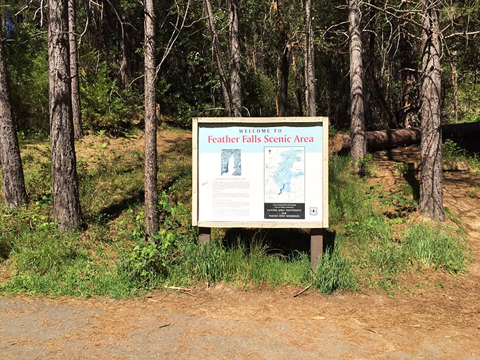 The adventure begins here! This unassuming sign marks the gateway to one of California's most magnificent hidden treasures.