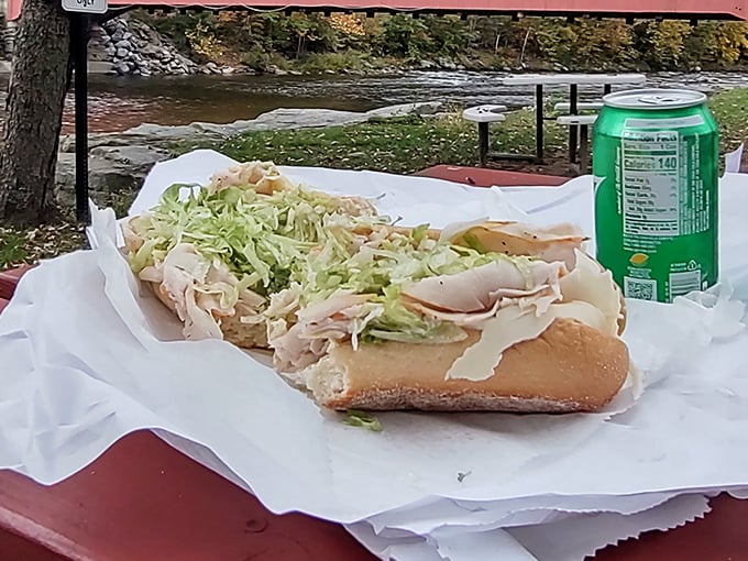 Nature provides the backdrop for this turkey hoagie picnic. Some people climb mountains for views; the wise ones climb them for sandwich spots.