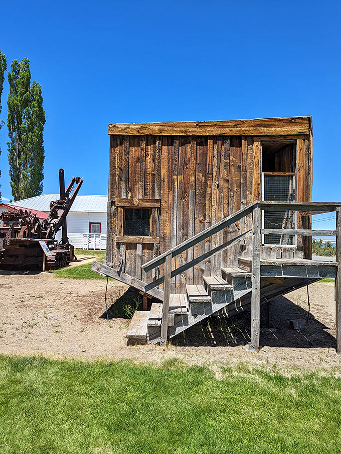 This weathered wooden cabin with rustic stairs isn't trying to impress anyone, which somehow makes it all the more impressive.