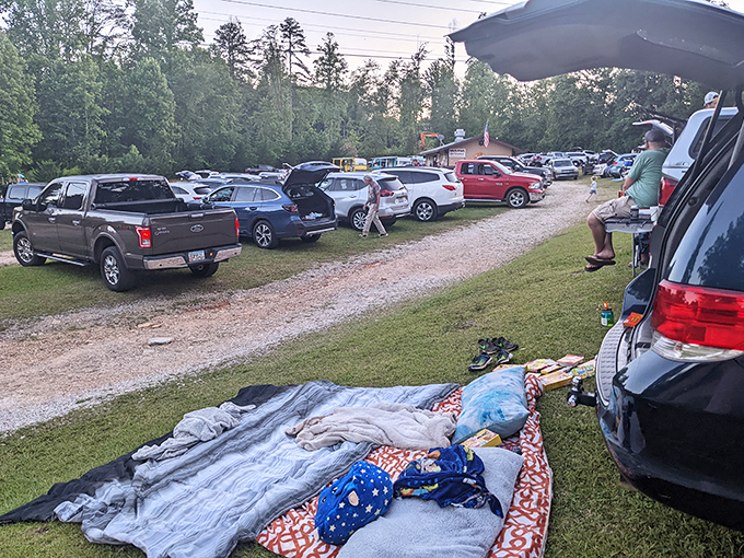 Cars line up like eager moviegoers, each one a private viewing booth with the best seats.