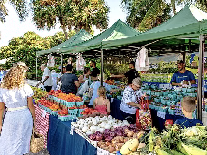 The Farmer's Market buzzes with conversation as shoppers fill baskets with Florida's sun-kissed bounty.