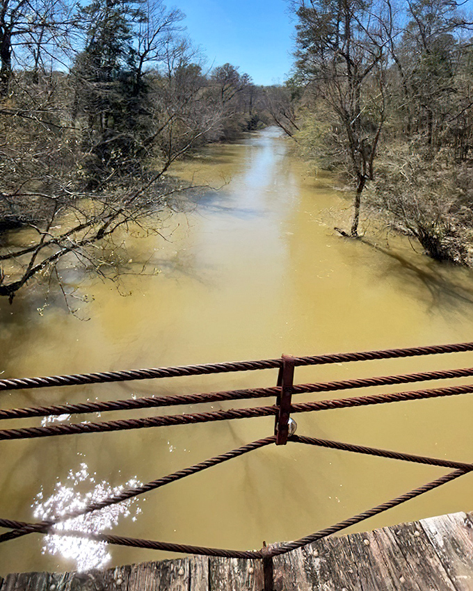 The swinging bridge offers views that make even the most dedicated couch potatoes glad they ventured outdoors. Worth every step!