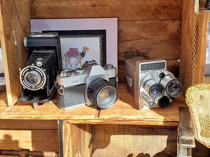 Vintage cameras that captured someone else's memories now wait to become your conversation-starting shelf décor or steampunk art project.