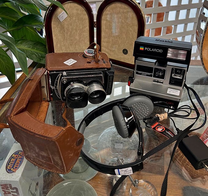 Classic cameras that captured memories before phones made everyone a photographer &ndash; still working, still wonderful.