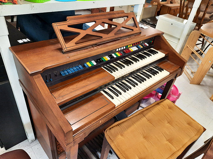 This vintage organ has more buttons than a NASA control panel and twice the potential for neighborhood complaints.