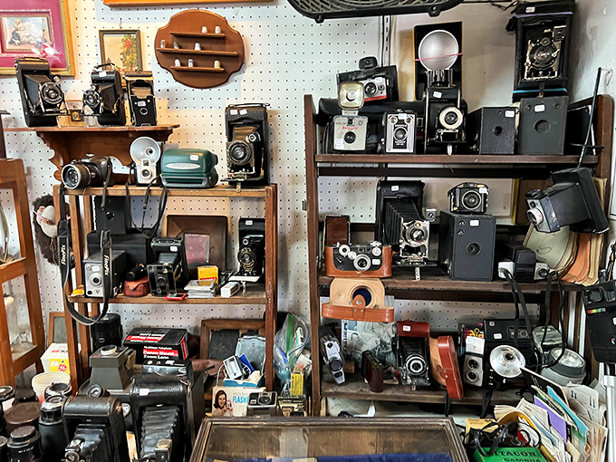 A time capsule of photography history where Kodak moments meet Instagram ancestors&mdash;these cameras captured someone's wedding, birthday, or first steps.