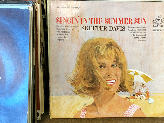 Skeeter Davis's sunny album cover promises summer vibes year-round. In the vinyl section, forgotten classics wait to spin again on someone's turntable.