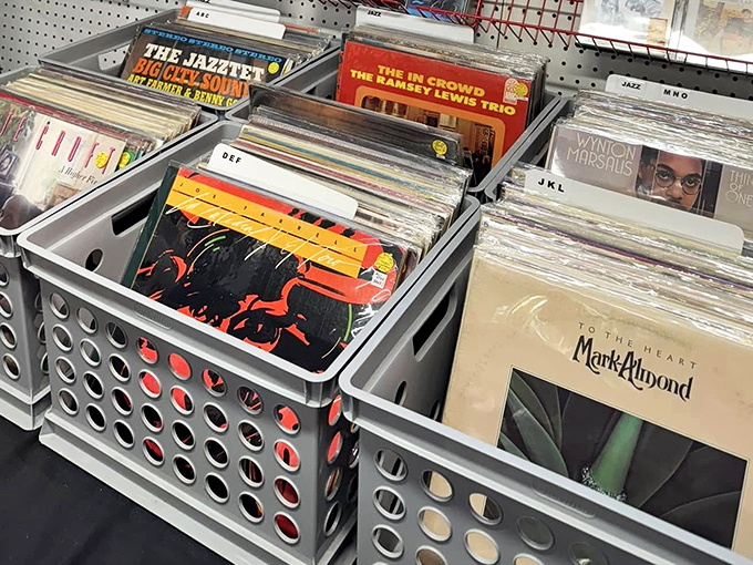 Vinyl paradise for audiophiles! These plastic time machines transport you back to when album art was something you could actually see.