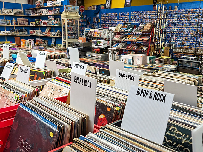 Vinyl junkies, rejoice! Meticulously organized record bins invite you to flip through musical history, one album cover at a time.
