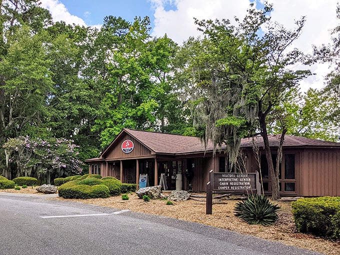The visitor center blends perfectly into its woodland setting, like a cozy cabin that happens to have all the answers you need.