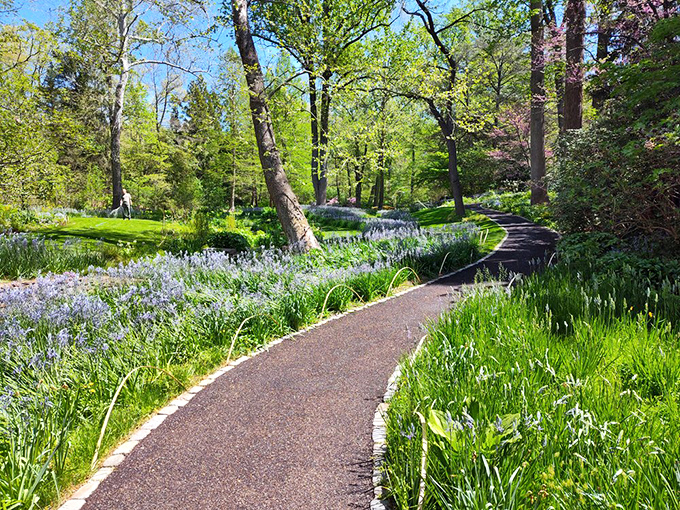 Stone pathways wind through paradise like nature's own yellow brick road, but with better landscaping than Oz.