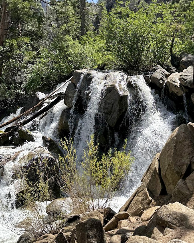 When the creek decides to show off, it creates waterfalls that belong in a screensaver collection.