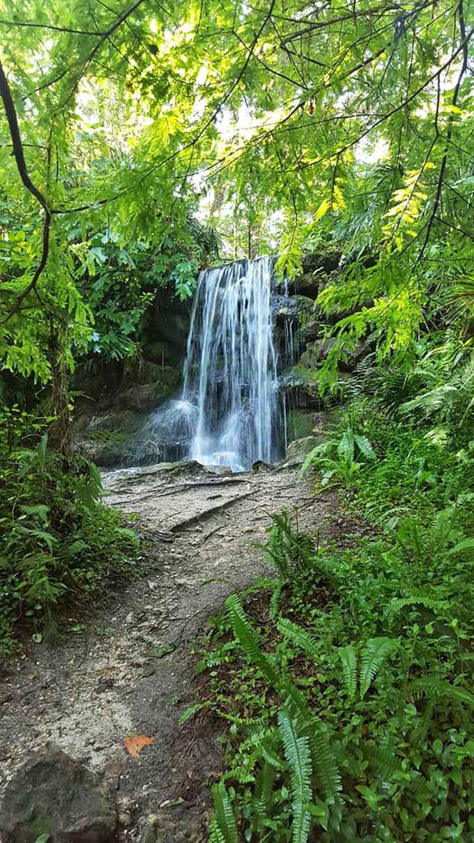 This man-made waterfall has gone native, blending so perfectly with its surroundings that even skeptical geologists give it a respectful nod.