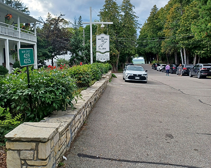 The White Gull Inn stands as a testament to timeless hospitality, where breakfast conversations with strangers often turn into dinner plans with friends.