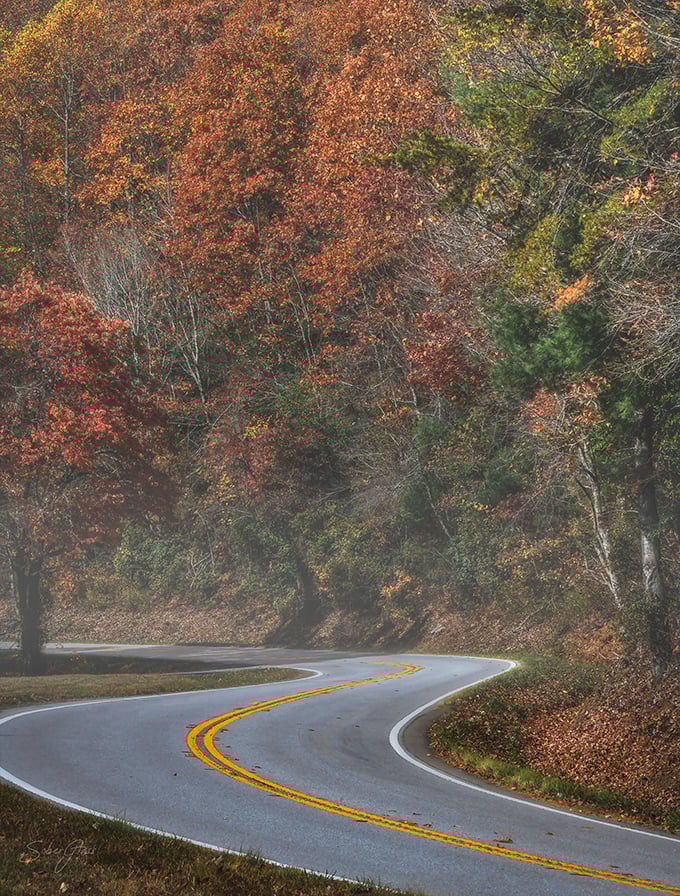 The road curves like a signature on a love letter to the mountains &ndash; autumn's calligraphy at its finest.