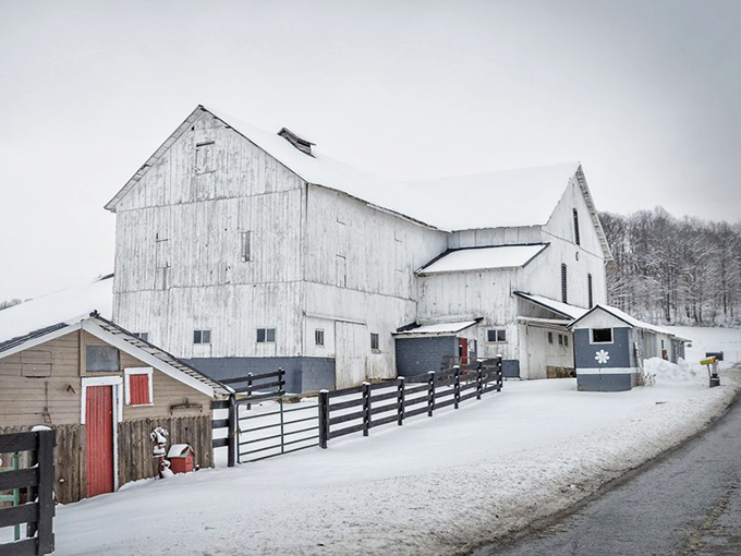 Winter's white blanket transforms this farmstead into a scene straight from a Christmas card&mdash;minus the glitter, plus authentic farm work.