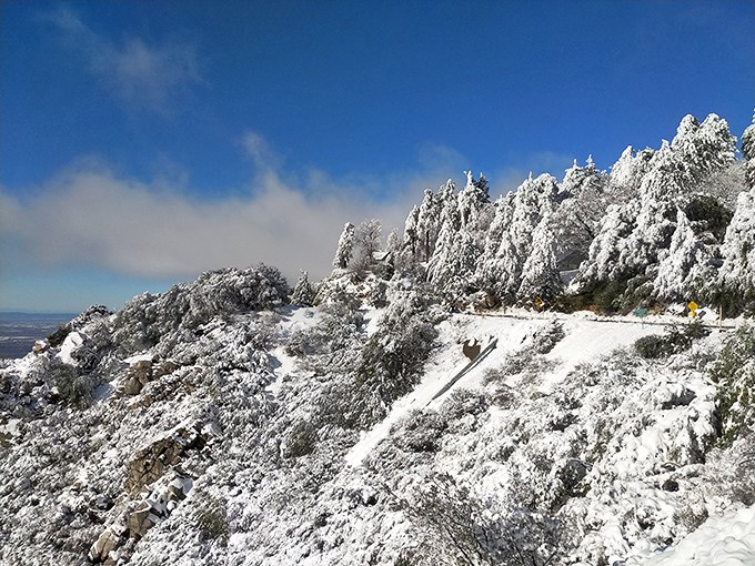 Winter's touch turns the byway into a snow globe scene. Drive carefully, but don't miss these postcard moments.