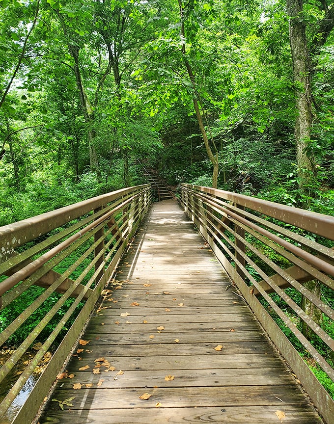 This wooden boardwalk invites you into a verdant cathedral of trees &ndash; the kind of path that practically demands contemplative walking and deep breaths.