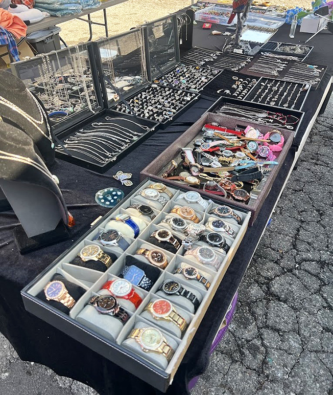 Timepieces galore! Whether you need something waterproof, gold-toned, or just conversation-starting, this watch display has your wrist covered.