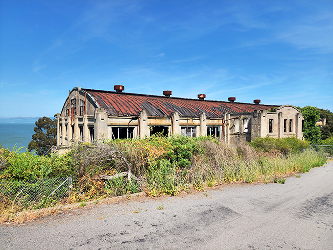Nature slowly reclaiming what humans built—this abandoned Fort McDowell building stands like California's own Roman ruin, with the bay providing a much better view.