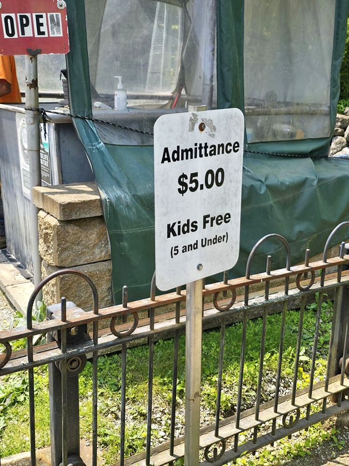 Five bucks for a time-travel experience? That's the bargain of the century. Kids under five enter free, no jousting experience required.