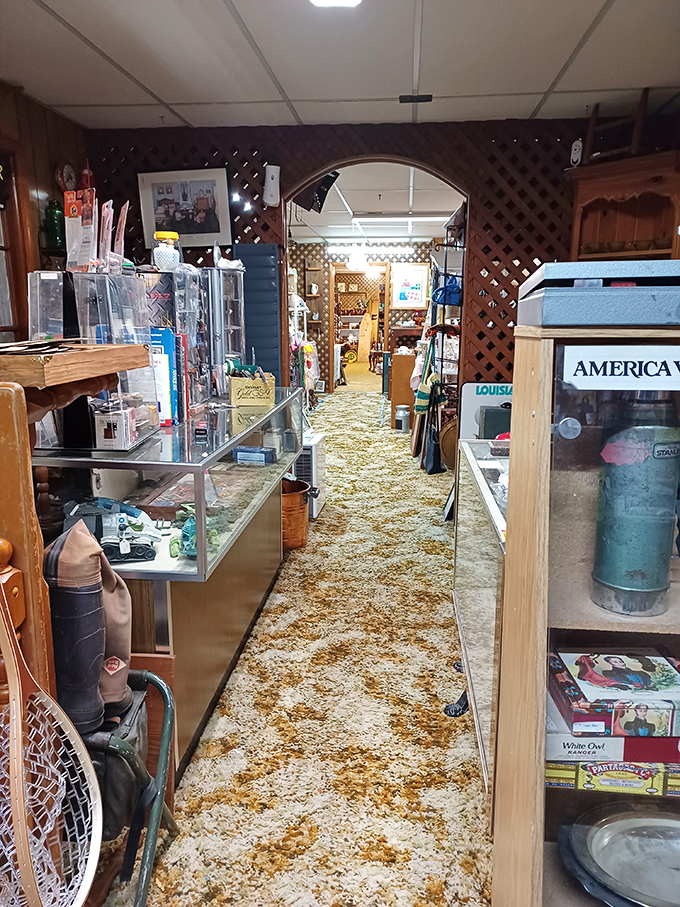 Long carpeted aisles lead deeper into the antique labyrinth. Each doorway promises another room of possibilities and nostalgic surprises.
