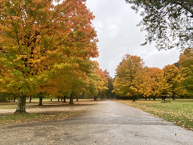 Fall transforms the park into a kaleidoscope of color that'll make your camera work overtime. 