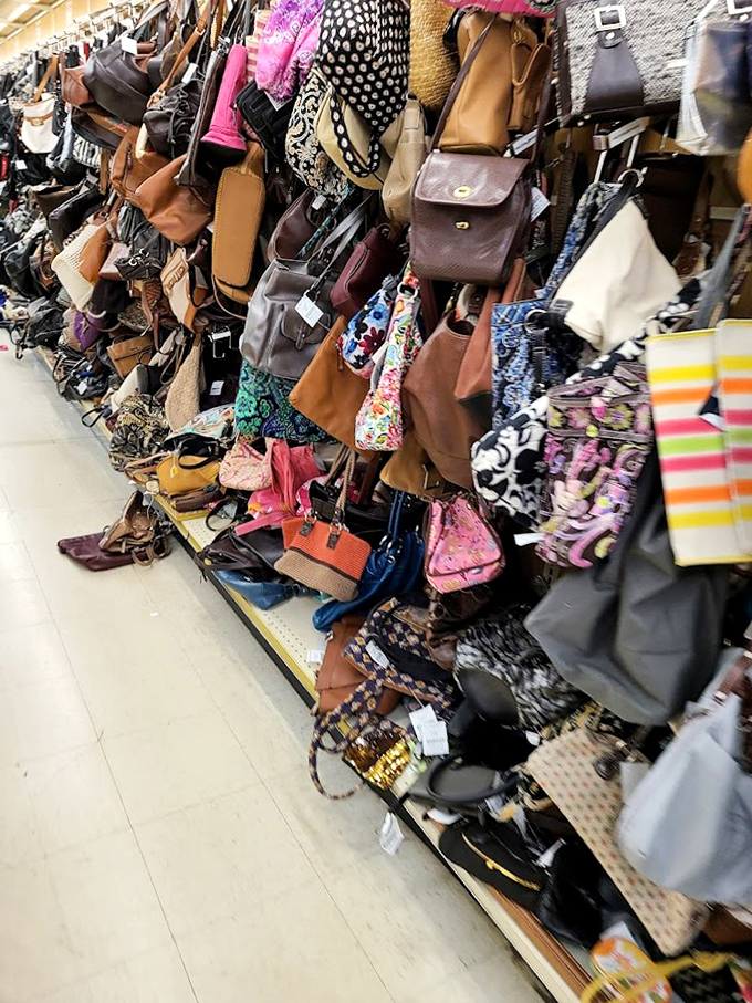 Handbag heaven! A leather lover's dream where designer-adjacent purses hang like colorful fruit, ripe for the picking. Your next favorite accessory is hiding in plain sight.