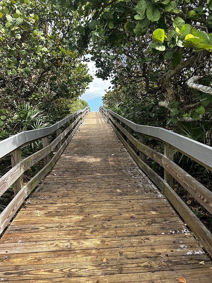 This boardwalk tunnel through coastal vegetation feels like the wardrobe to Narnia, except with more sunscreen and fewer talking lions.
