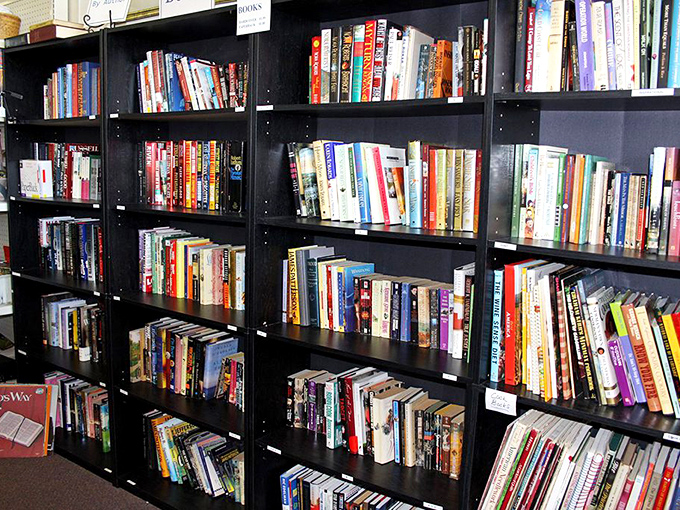 The book section rivals some small-town libraries. Literary treasures await between these shelves, from beach reads to forgotten classics.