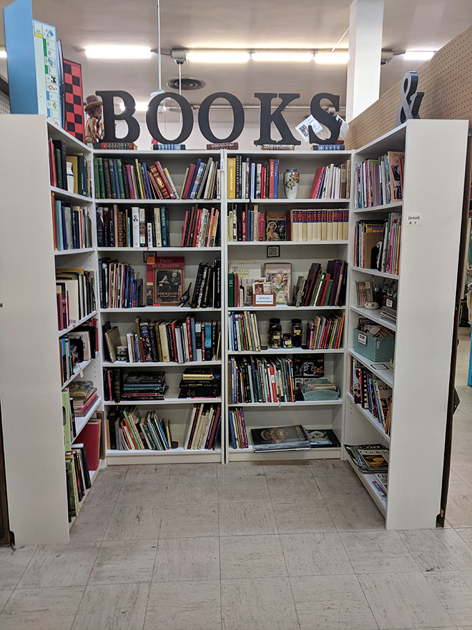 The book nook beckons bibliophiles with shelves of literary treasures &ndash; where forgotten bestsellers and childhood classics await their next chapter.