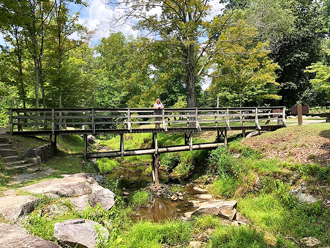This rustic wooden bridge isn't merely functional&mdash;it's the perfect vantage point for contemplating life's big questions while nature provides the soundtrack.