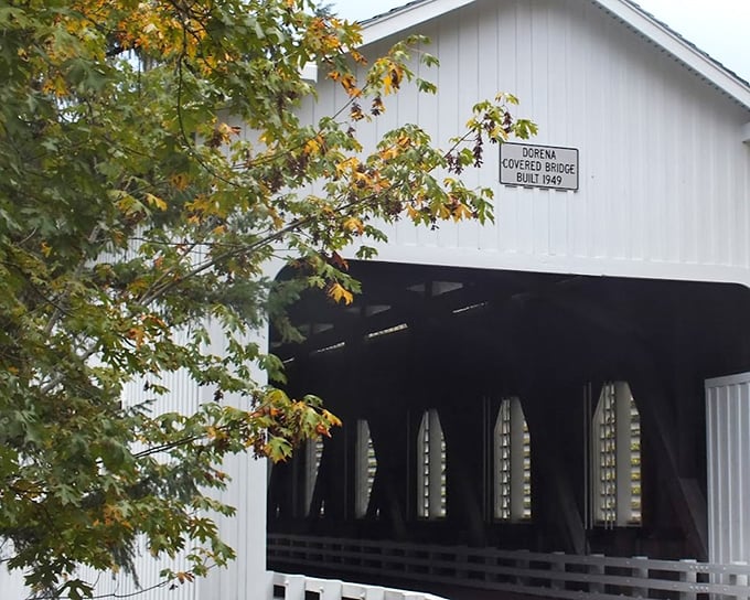 Fall foliage adds a splash of seasonal color to the bridge's monochromatic elegance. Mother Nature's way of accessorizing her favorite structures.
